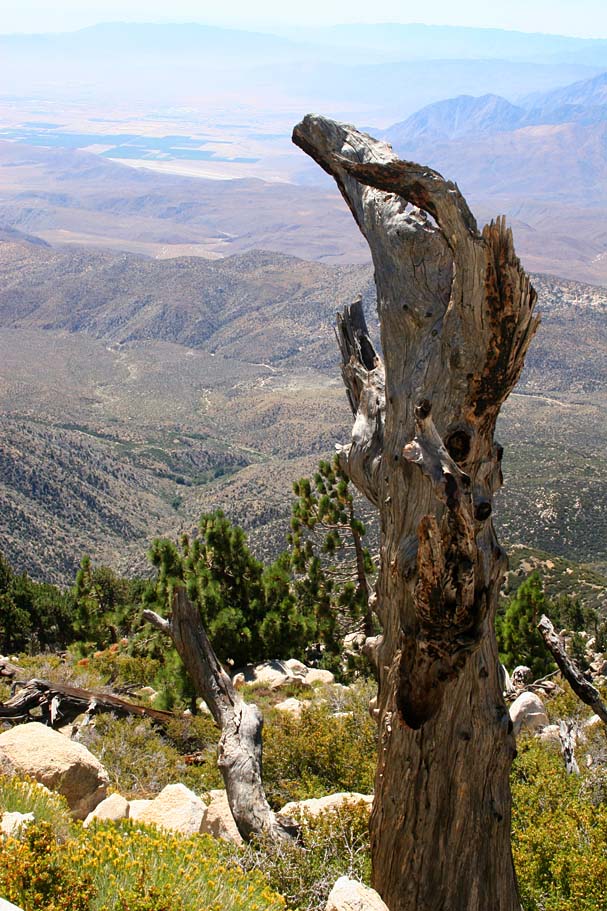 Toro Peak Access – The Ramblings of MTBBill