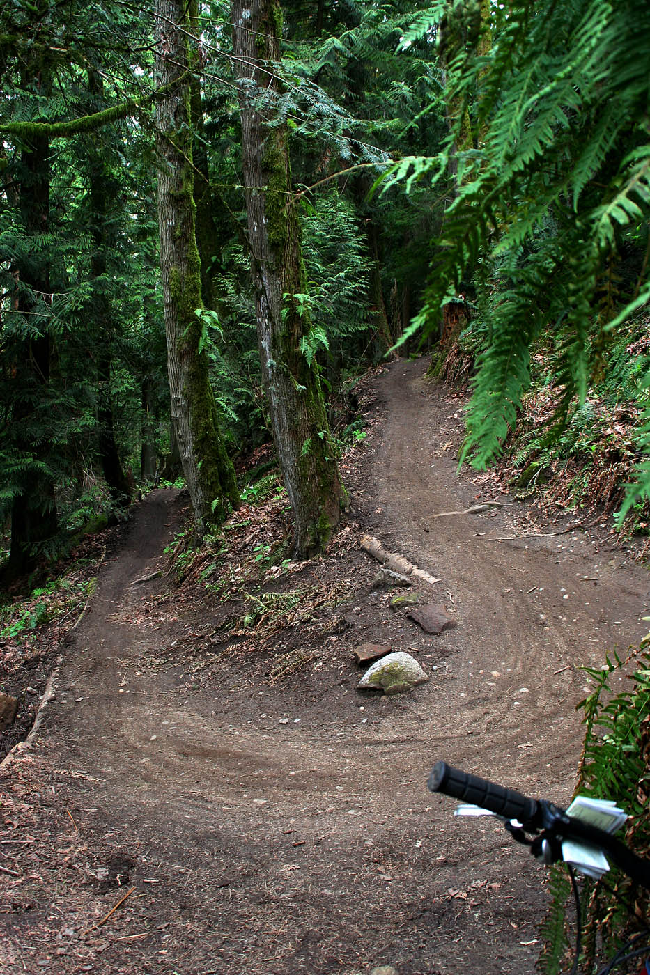 Galbraith Mountain – Bellingham WA – The Ramblings of MTBBill