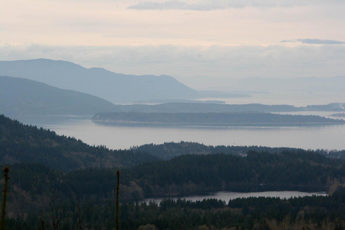 Galbraith Mountain – Bellingham WA – The Ramblings of MTBBill